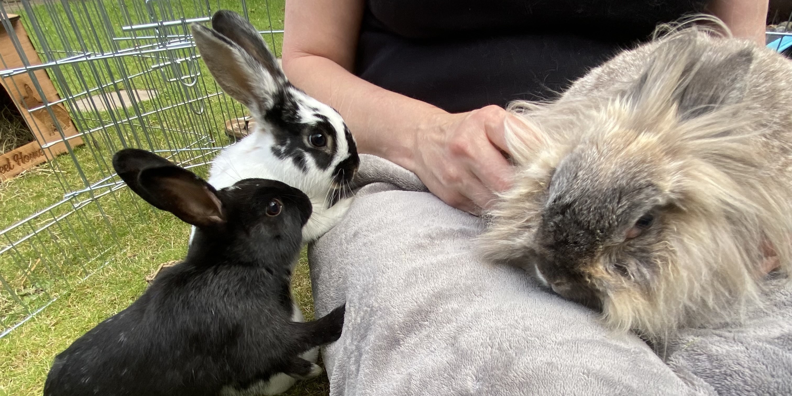 endofthed4y's Profile - MyAnimeList.net