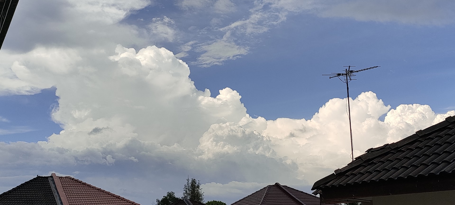 MeHu_'s Profile - MyAnimeList.net