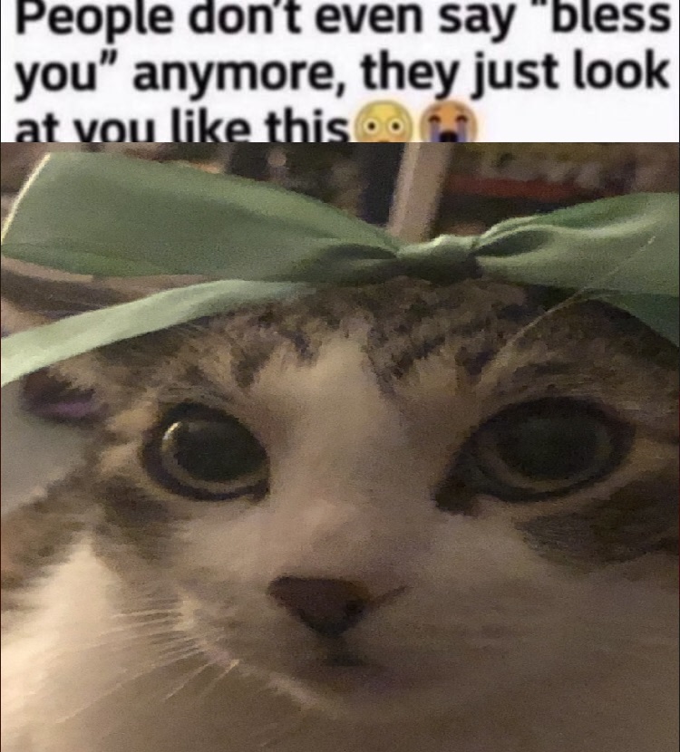 mewriah's Profile - MyAnimeList.net