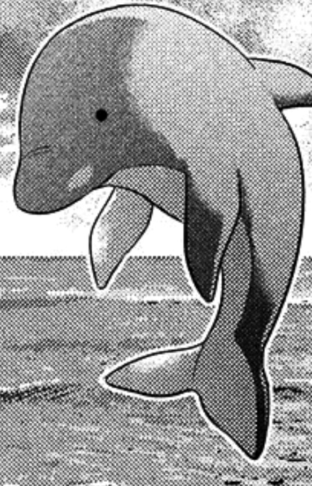 Reel (Parallel Paradise) - MyAnimeList.net