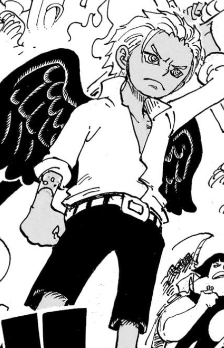 S-Hawk (One Piece) - MyAnimeList.net