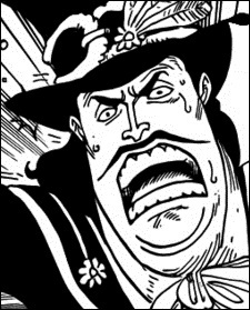 Outlook III (One Piece) - Pictures - MyAnimeList.net