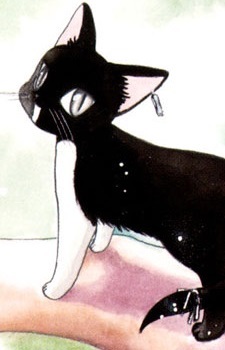 Hari (Wish) - Pictures - MyAnimeList.net