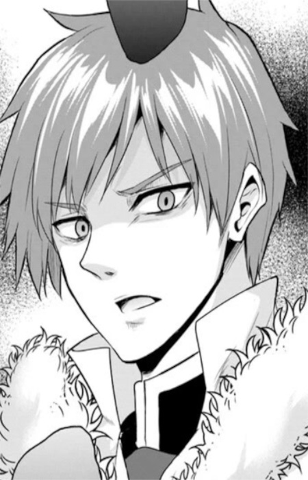 Zect (Yuusha ni Zenbu Ubawareta Ore wa Yuusha no Hahaoya to Party wo ...