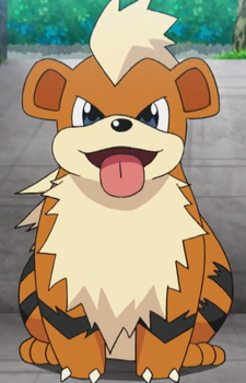 Gardie (Pokemon) - Pictures - MyAnimeList.net