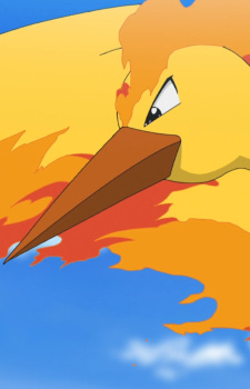 Fire (Pokemon) - Pictures - MyAnimeList.net