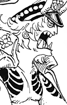 Sasaki (One Piece) - Pictures - MyAnimeList.net