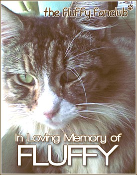The Fluffy Fanclub! - Club - MyAnimeList.net