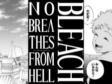 Bleach: Gokui Meimei-hen (Bleach: Special One-shot) | One-shot ...
