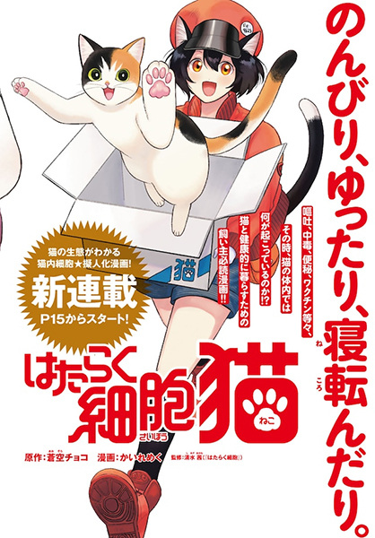 Hataraku Saibou Neko (Cells at Work! Cat) | Manga - Pictures ...