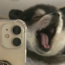 No Home | Manhwa - MyAnimeList.net