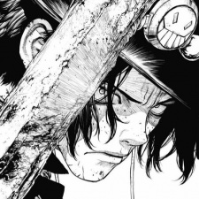 Wild Adapter - MyAnimeList.net