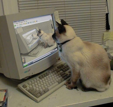 Judge | Manga - MyAnimeList.net