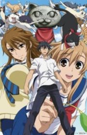 Asobi ni Iku yo! (Cat Planet Cuties) - MyAnimeList.net