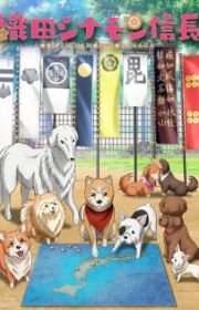 Heya Camp (Room Camp) - MyAnimeList.net