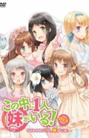 Yuragi-sou no Yuuna-san OVA - MyAnimeList.net