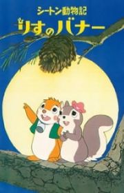 Time Travel Tondekeman! (Time Quest) - MyAnimeList.net