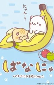 Aggressive Retsuko (Aggretsuko, TV 2016) - MyAnimeList.net
