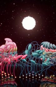 Drivers License - MyAnimeList.net