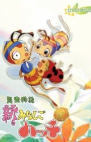 Araiguma Rascal (Raccoon Rascal) - MyAnimeList.net