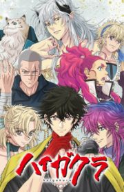 Code Name X - MyAnimeList.net