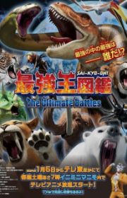 Kingdom 5th Season (Kingdom: Season 5) - MyAnimeList.net