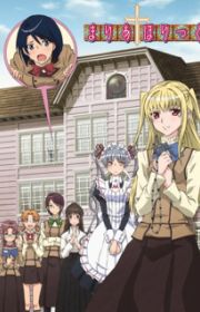 Girls Bravo: First Season (Girls Bravo) - MyAnimeList.net