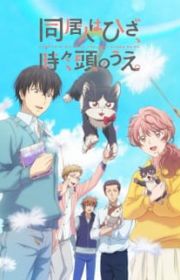 Kinoko Inu (Kinokoinu Mushroom Pup) - MyAnimeList.net