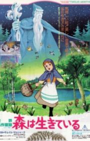 Fireball Humorous - MyAnimeList.net