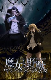 Kingdom 5th Season (Kingdom Season 5) - MyAnimeList.net