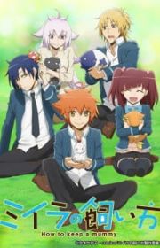 Potemayo - MyAnimeList.net