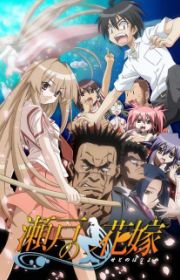 Asobi ni Iku yo! (Cat Planet Cuties) - MyAnimeList.net