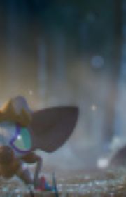 Pokemon: Mezase Pokemon Master (Pokémon: To Be a Pokémon Master ...