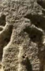 Blue Seed Omake - MyAnimeList.net