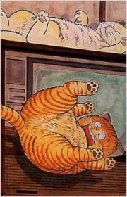 Totsuzen! Neko no Kuni Banipal Witt (Catnapped) - MyAnimeList.net