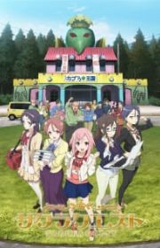 Udon no Kuni no Kiniro Kemari (Poco's Udon World) - MyAnimeList.net