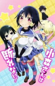Wagamama High Spec - MyAnimeList.net