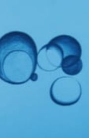 Toumei Ningen (Transparent Man) - MyAnimeList.net