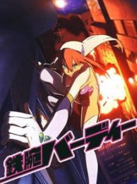 official collection Birdy the Mighty: Decode DVD (OOP)