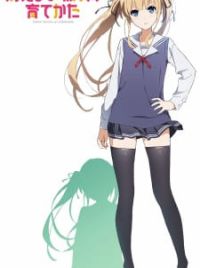 Saenai Heroine no Sodatekata MyAnimeList