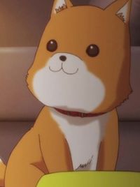 Favorite anime dog? - Forums - MyAnimeList.net