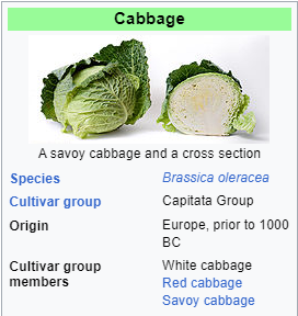 Top Ten Best-Looking Cabbage In Anime. - Forums - MyAnimeList.net