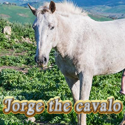 Anna_Sales's Anime List - MyAnimeList.net