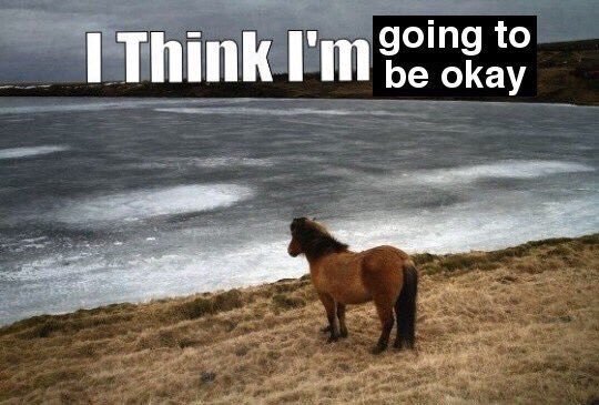 angel-guts's Anime List - MyAnimeList.net