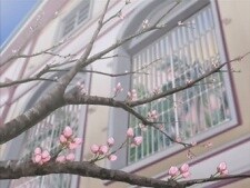 Suki na Mono wa Suki Dakara Shou ga Nai!! (Sukisho) - MyAnimeList.net